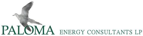 Paloma Energy Consultants Oil & Gas Project Management #1